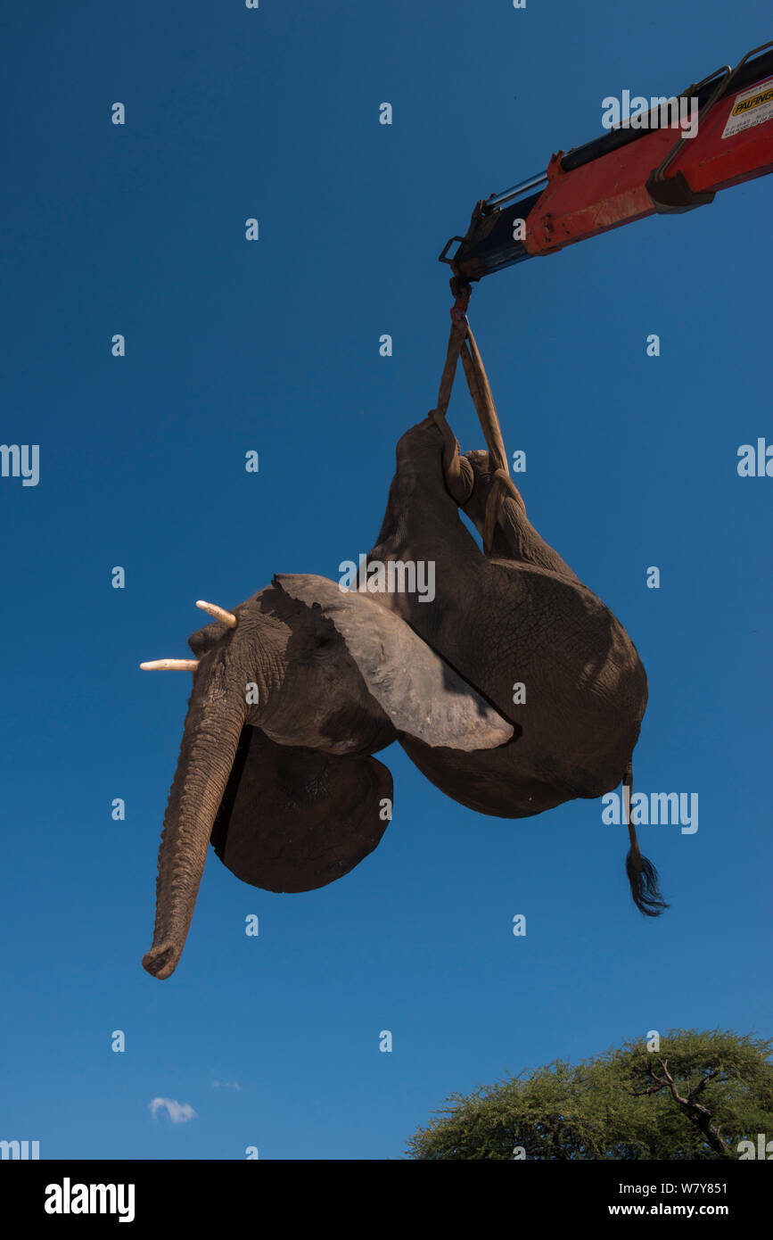 Helicopter lifting truck hi-res stock photography and images - Alamy