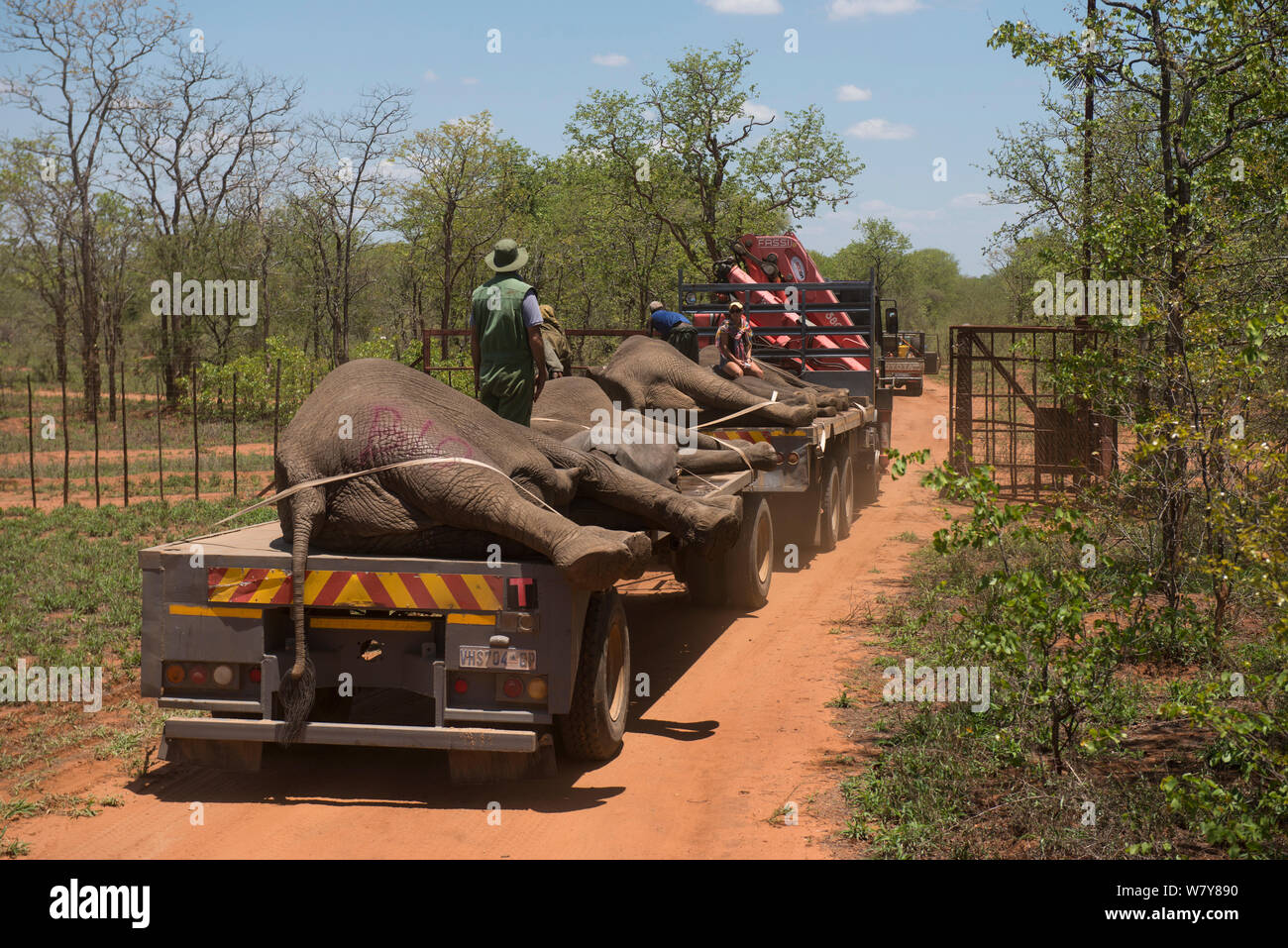 Truck transporting people africa hi-res stock photography and images ...