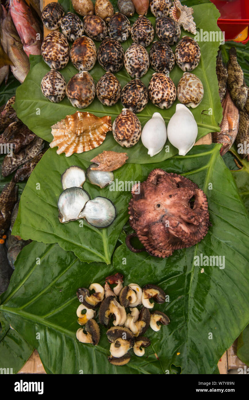 Fiji fish market hi-res stock photography and images - Alamy