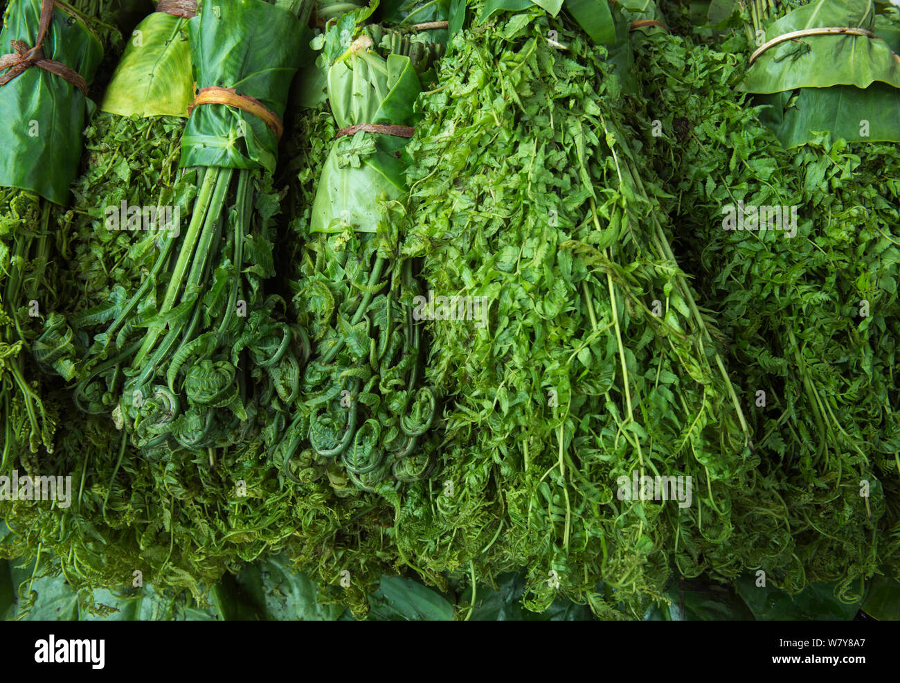 Vegetables of fiji hi-res stock photography and images - Alamy