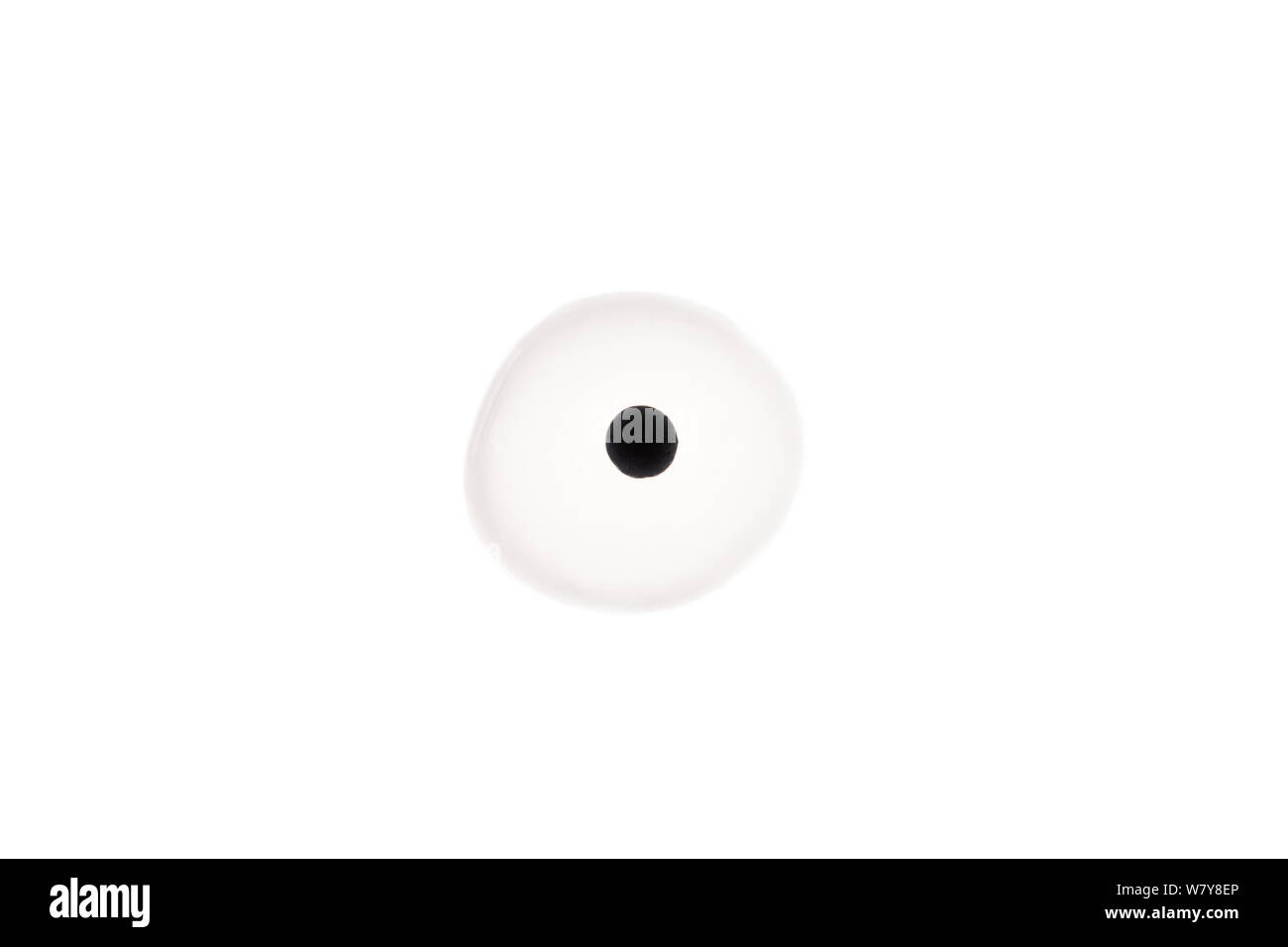 Frogspawn hi-res stock photography and images - Alamy