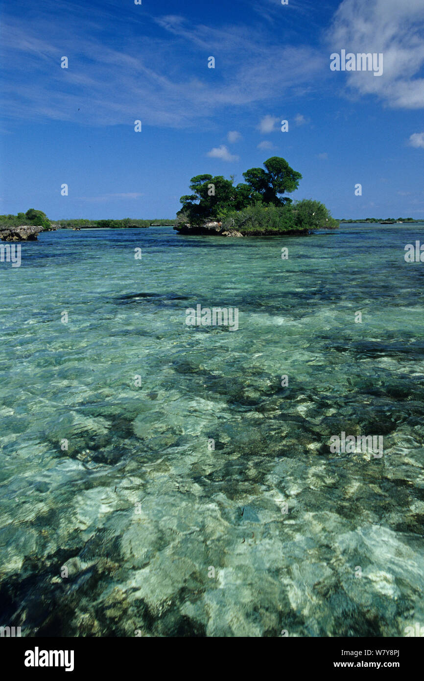 Small island inside the lagoon, Aldabra Atoll, Natural World Heritage ...