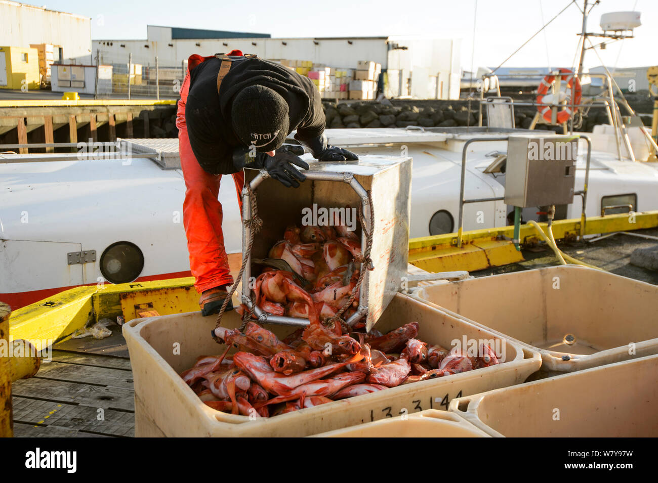 Commercial fisherman hi-res stock photography and images - Alamy