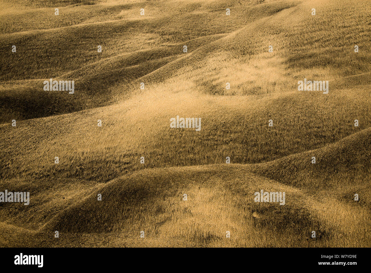 Dune patterns hi-res stock photography and images - Alamy