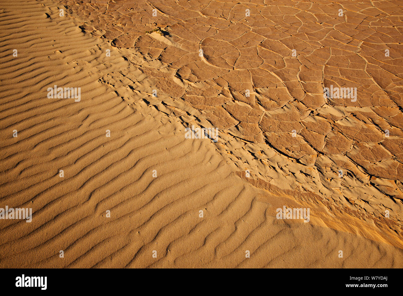 Ripples in mud hi-res stock photography and images - Alamy