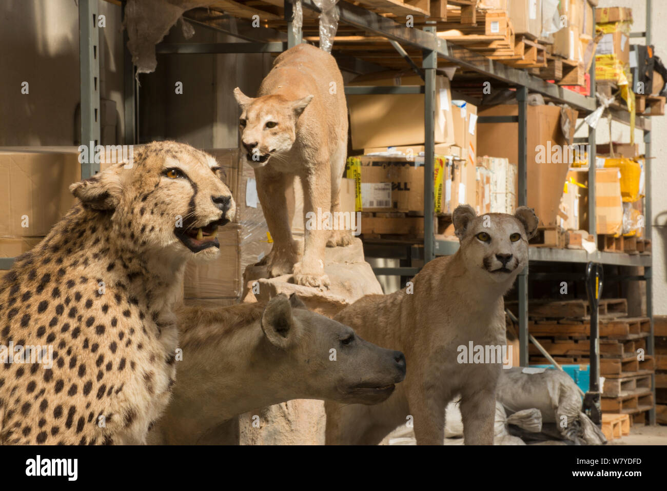 Crime spain hi-res stock photography and images - Alamy