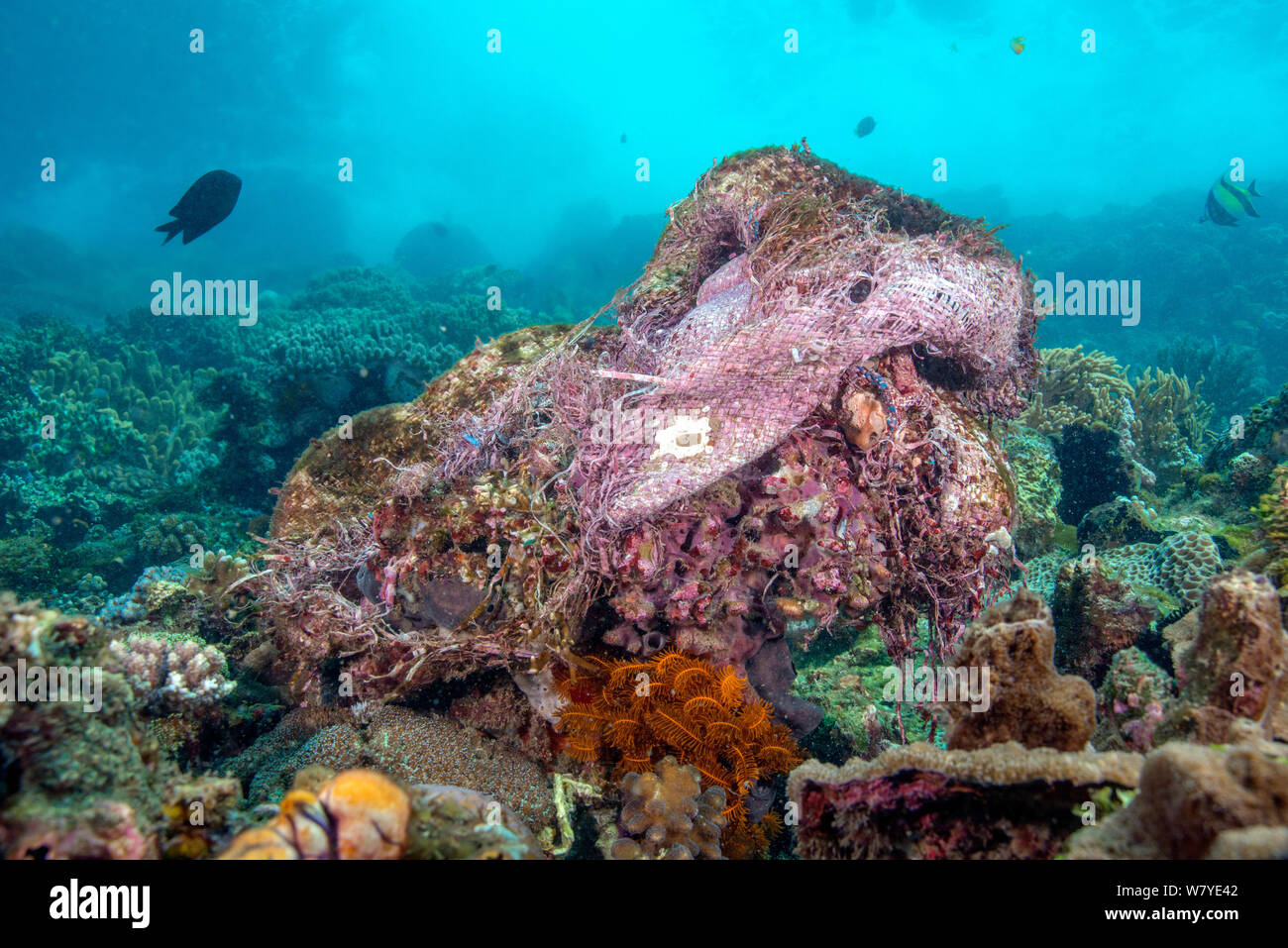 Indonesia ocean plastic hi-res stock photography and images - Alamy
