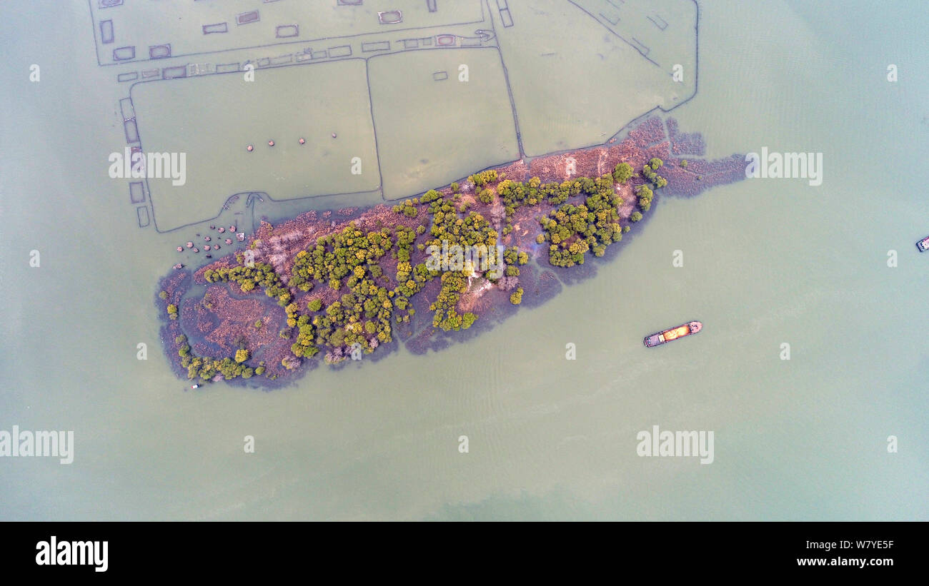 Aerial view of the fish-shaped island on the Hongze Lake in Huai'an ...