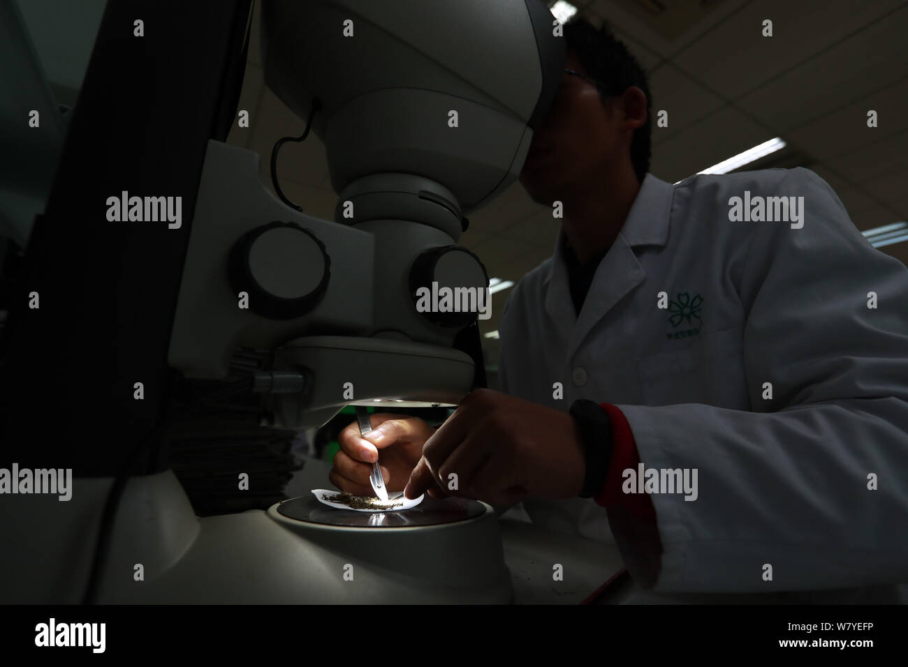 Seed strips hi-res stock photography and images - Alamy