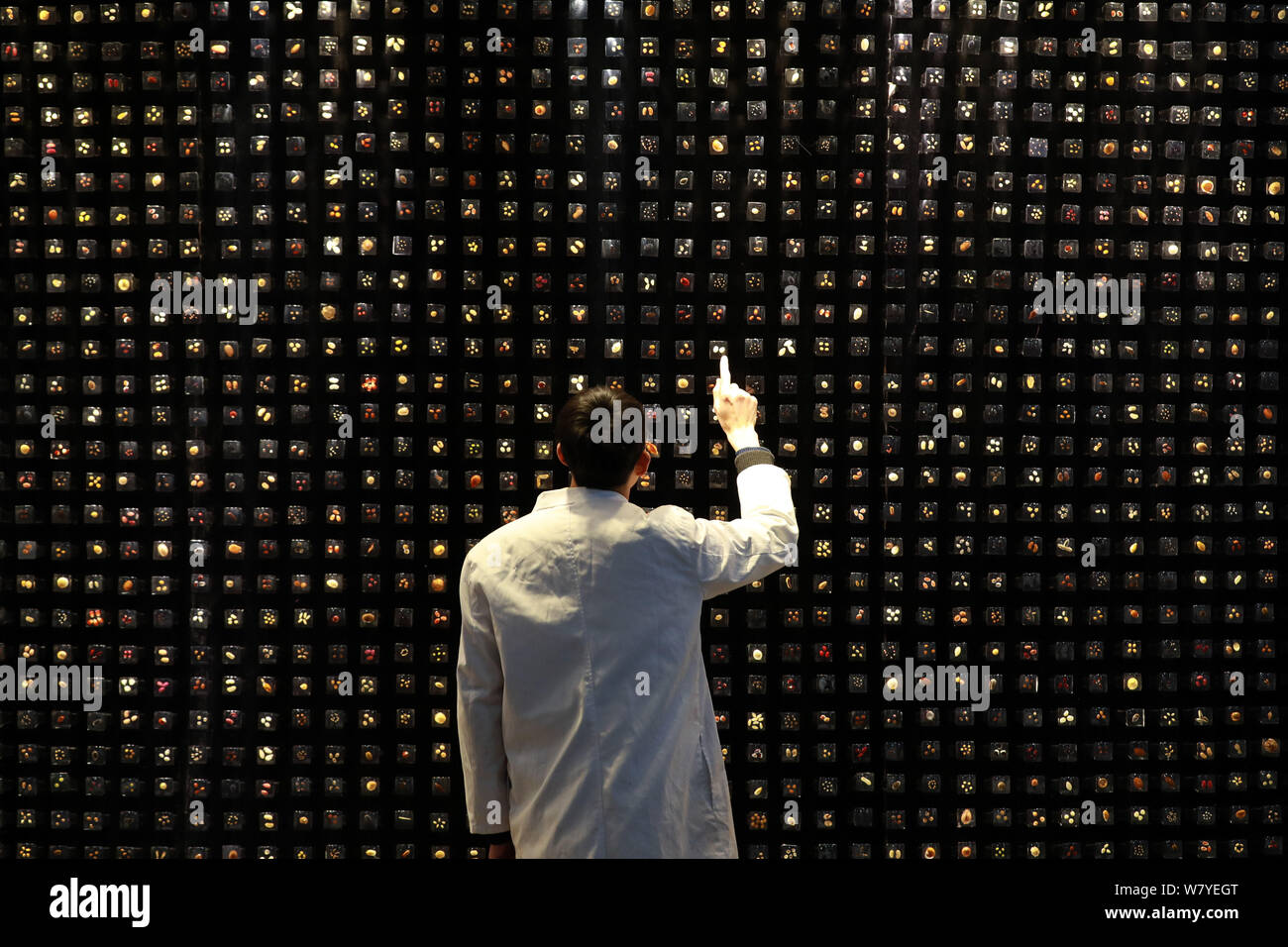 A Chinese researcher checks the specimens of plant seeds at the ...