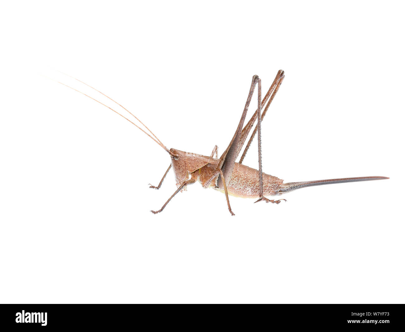 Warren shire hi-res stock photography and images - Alamy