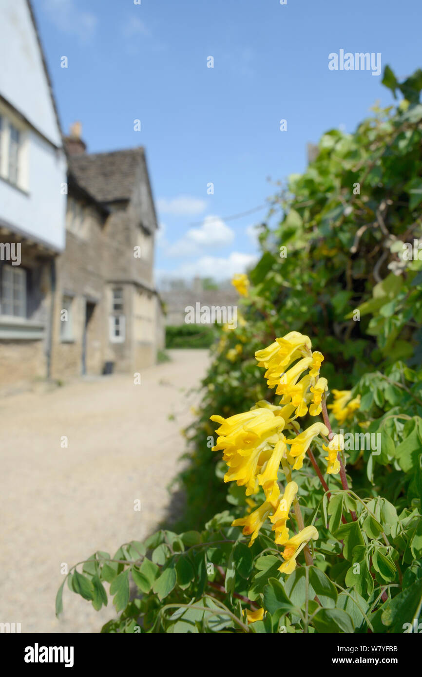 Paths wide hi-res stock photography and images - Alamy