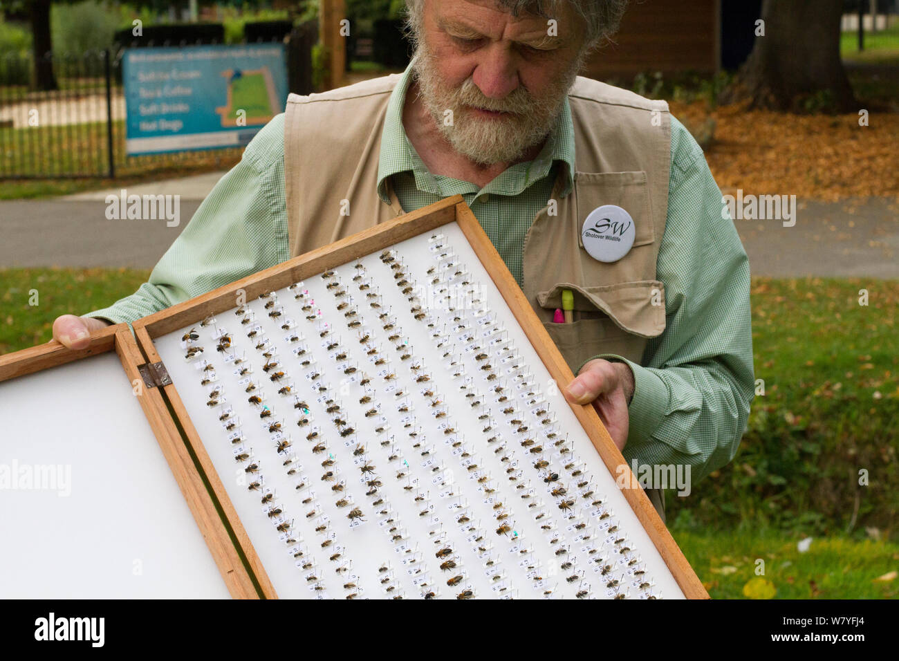 Cowley wright hi-res stock photography and images - Alamy