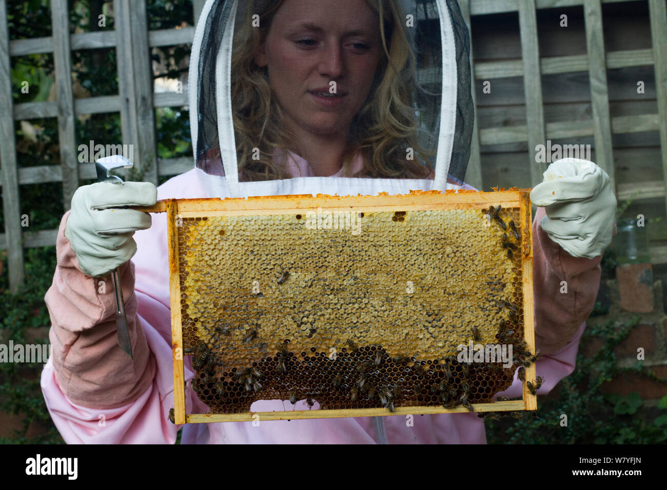 Heather moore hi-res stock photography and images - Alamy