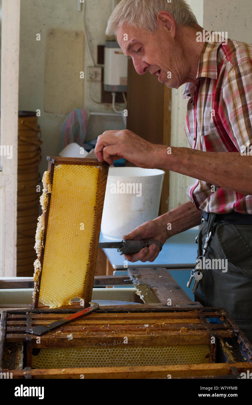 Man beekeeping hi-res stock photography and images - Alamy