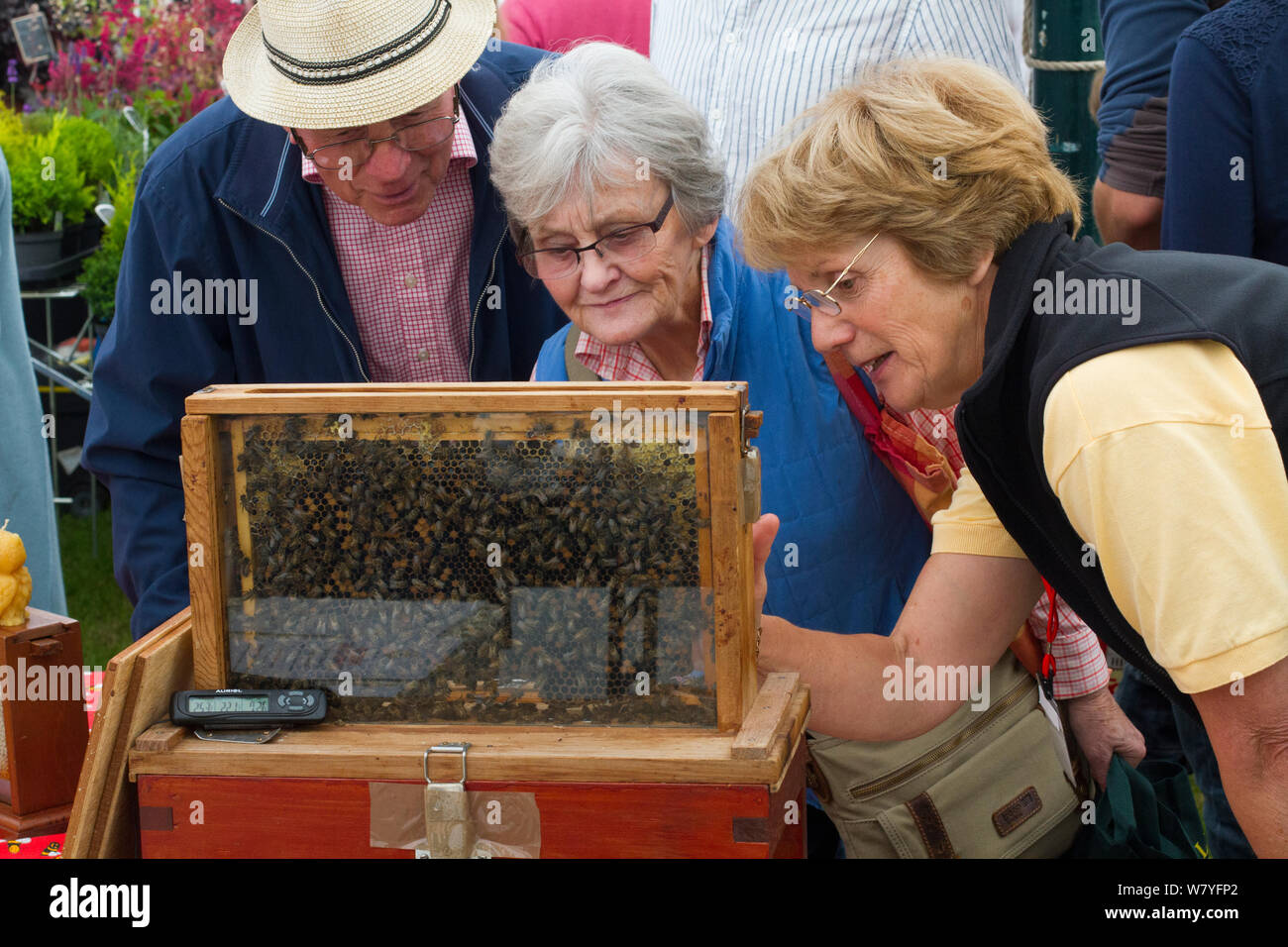 Usk show hi-res stock photography and images - Alamy