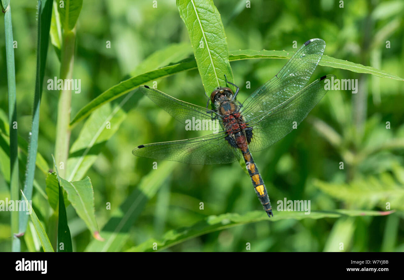 Virolahti High Resolution Stock Photography and Images - Alamy