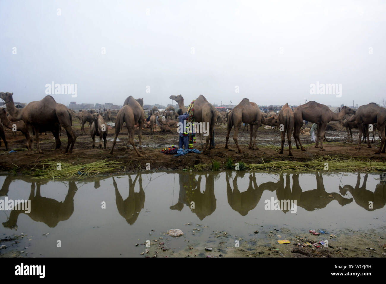 Lahore pakistan market hi-res stock photography and images - Alamy