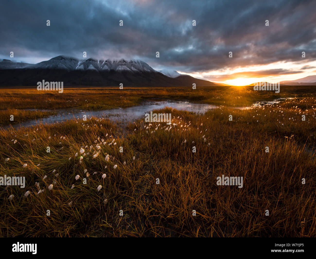 North spitsbergen hi-res stock photography and images - Alamy