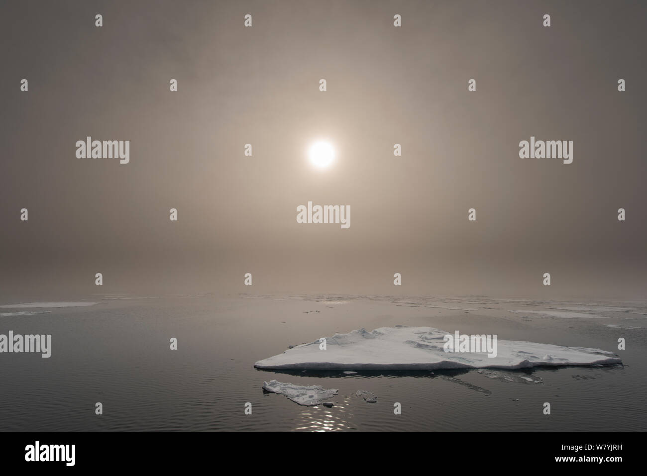 Svalbard exposed hi-res stock photography and images - Alamy