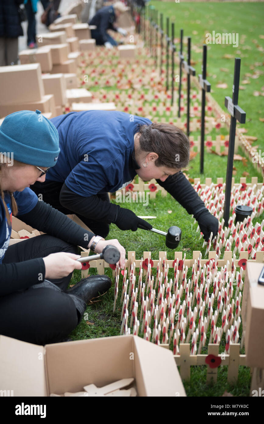 Poppy remembrance westminster abbey crosses war hi-res stock ...