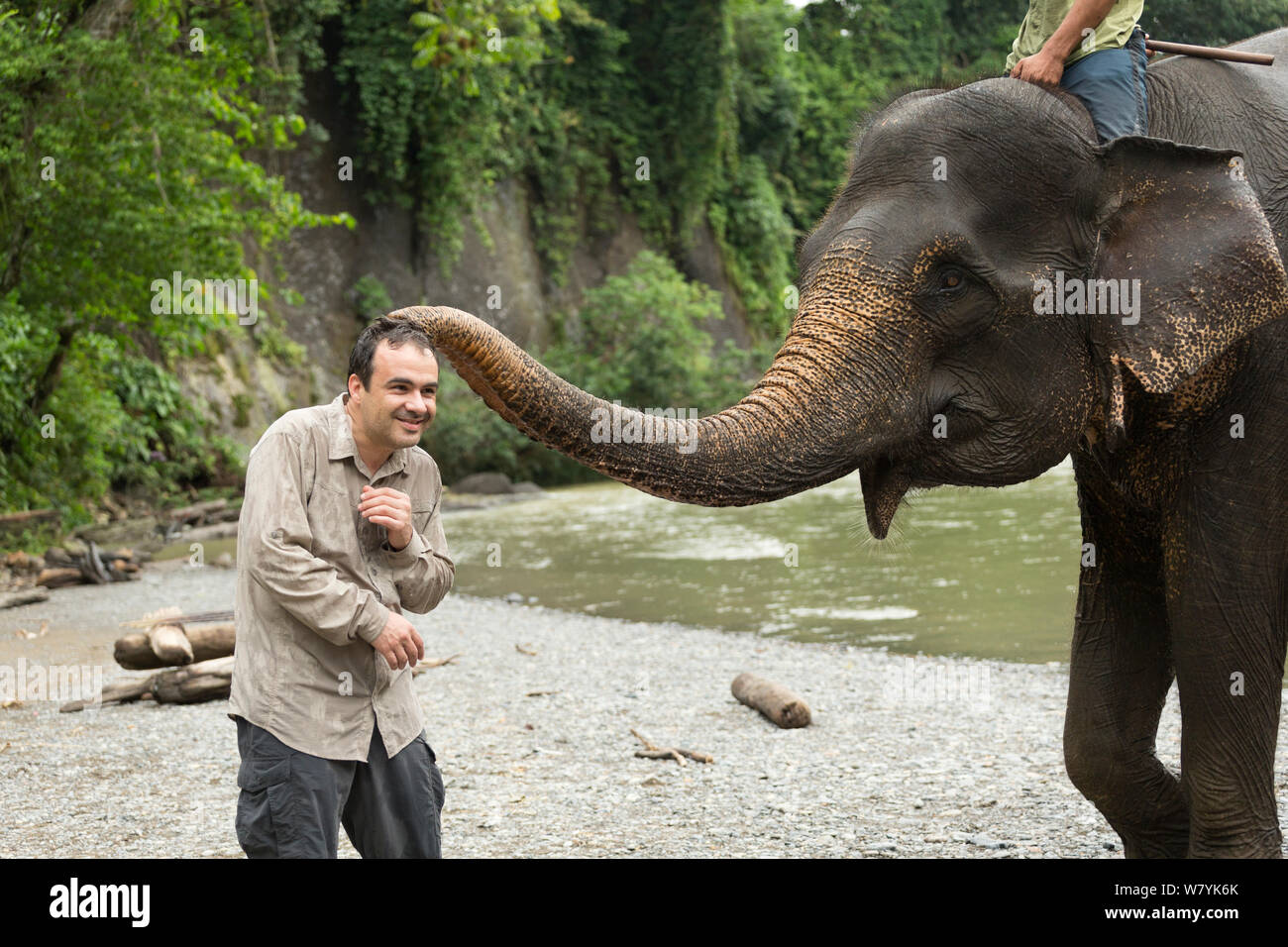 Man tapping head hi-res stock photography and images - Alamy