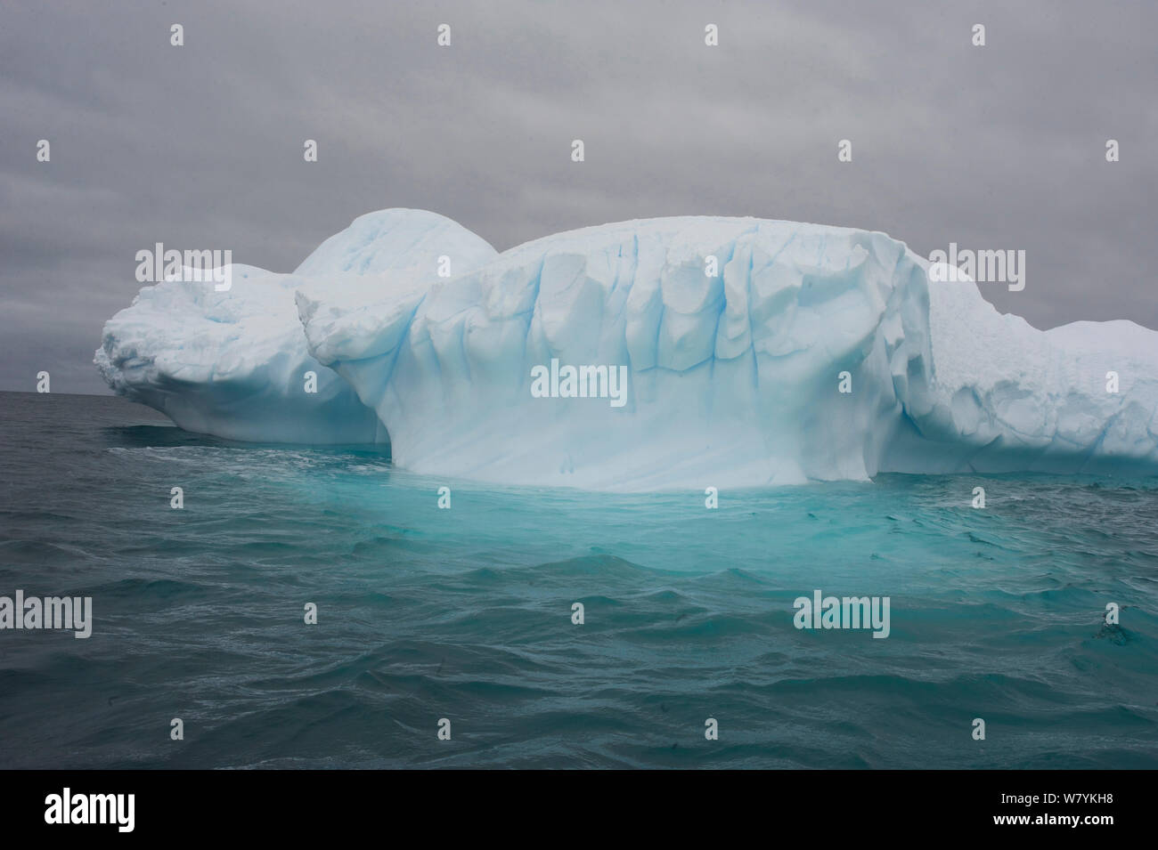 Ice floe off Buckle Island, Balleny Islands, Antarctica, February Stock ...