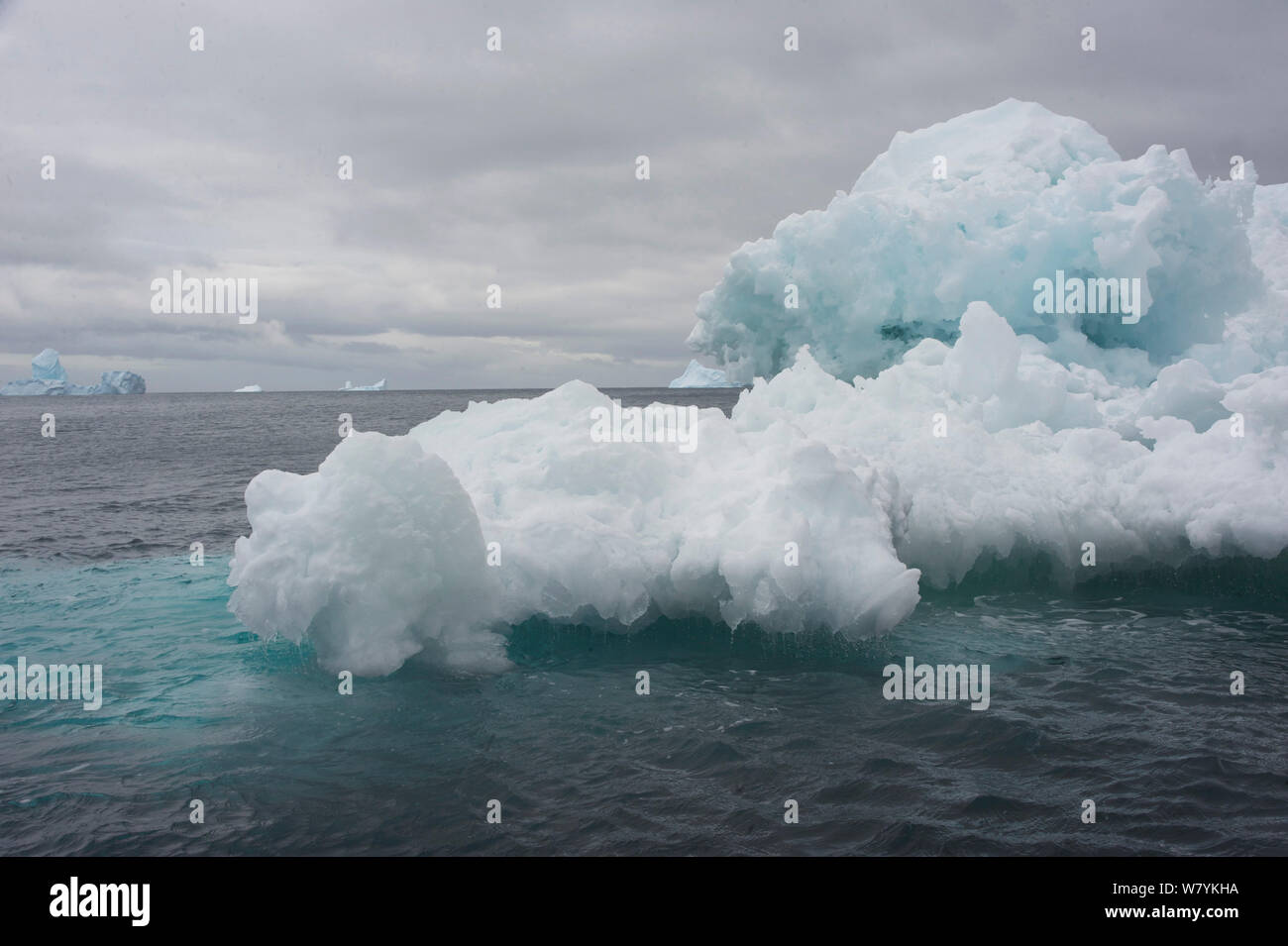 Ice floe off Buckle Island, Balleny Islands, Antarctica, February Stock ...