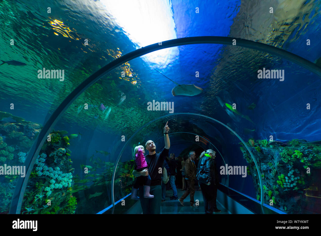 People watching fish from underwater tunnel, Den Bla Planet aquarium ...