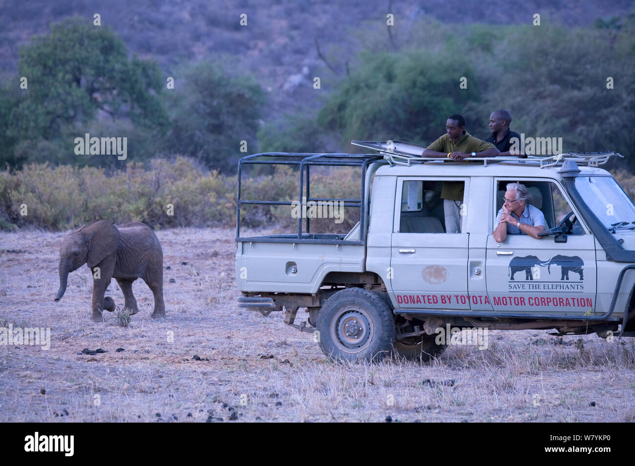 Baby model elephant hi-res stock photography and images - Alamy