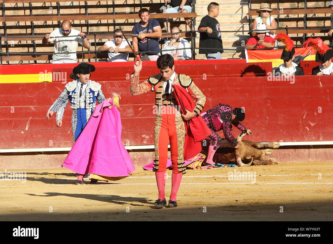 Matador holding estoca sword after death of bull during bull fight ...