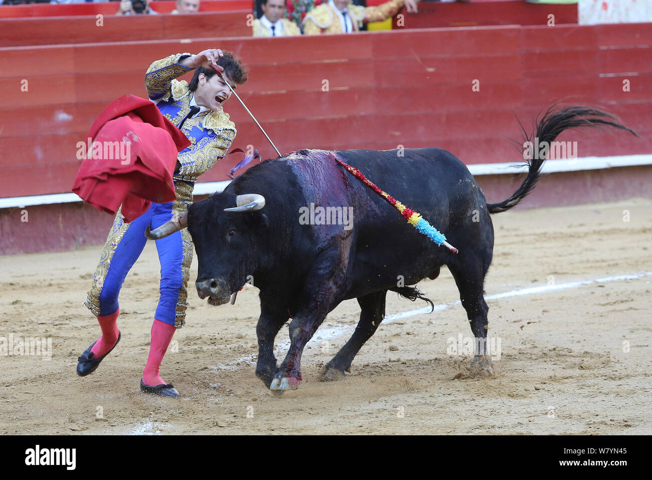 Killing Sword High Resolution Stock Photography and Images - Alamy