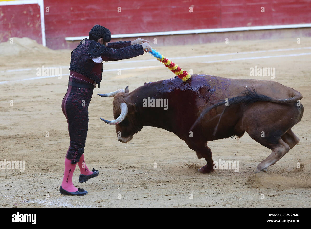 Banderillero hi-res stock photography and images - Alamy