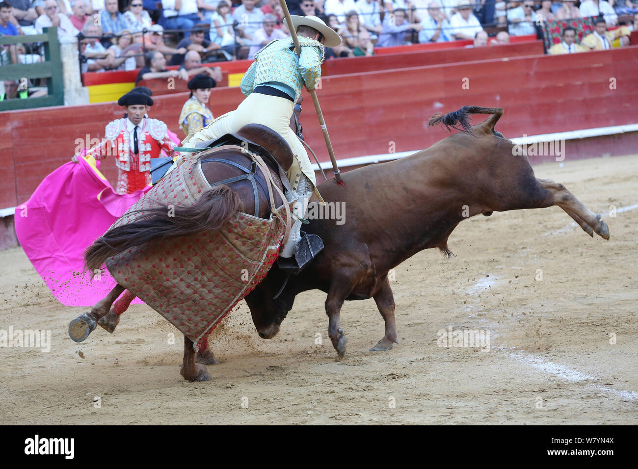 Bull flipping over horse wearing protective 'peto' padding during the ...