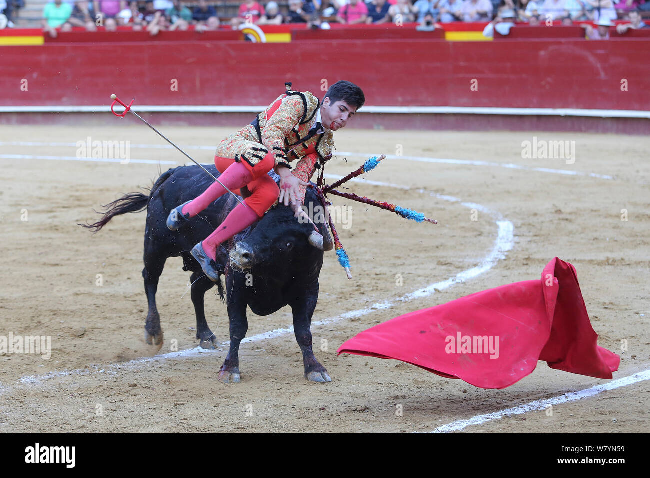 Bull fighter / torero rolling over the back of bull, Plaza de Toros ...