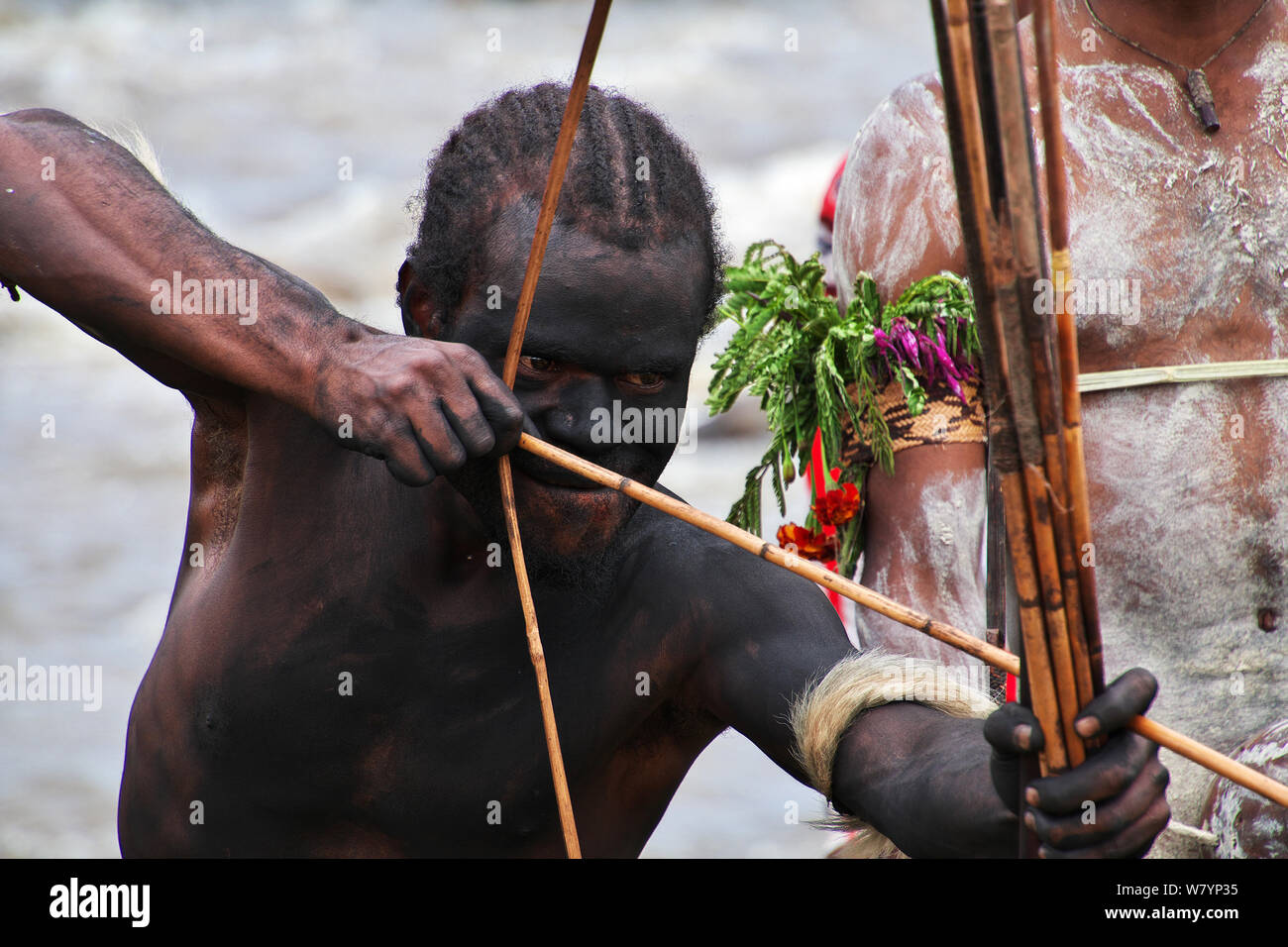 Wamena/Papua, Indonesia - 09 Aug 2016. National festival of local ...