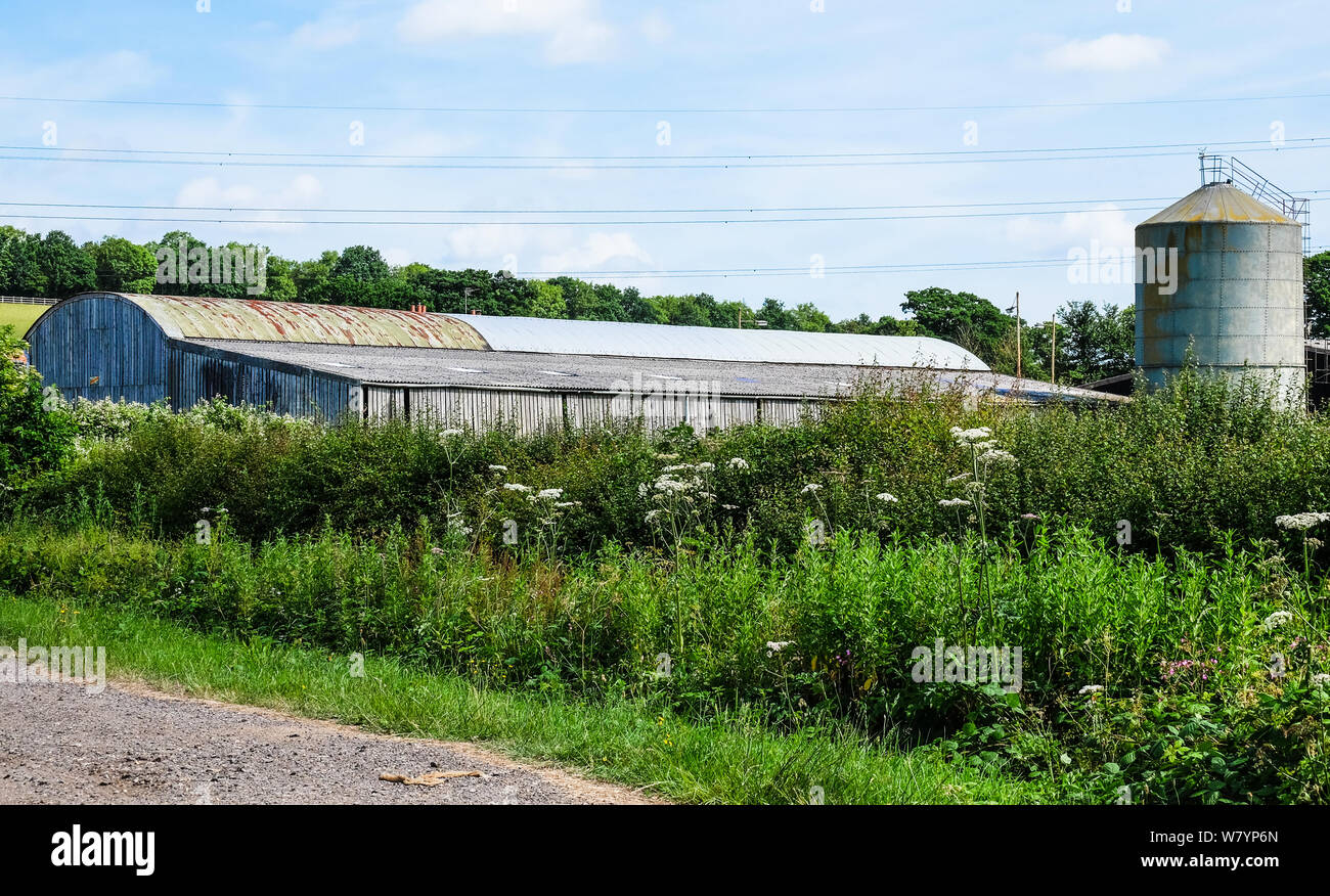 Long single storey building surrounded by tall grasses & fields next to ...