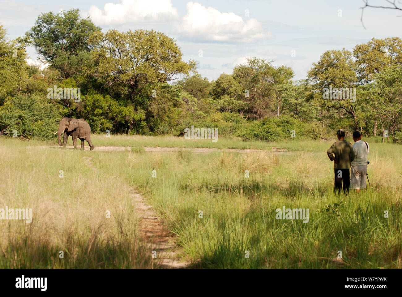 O vertebrate hi-res stock photography and images - Alamy