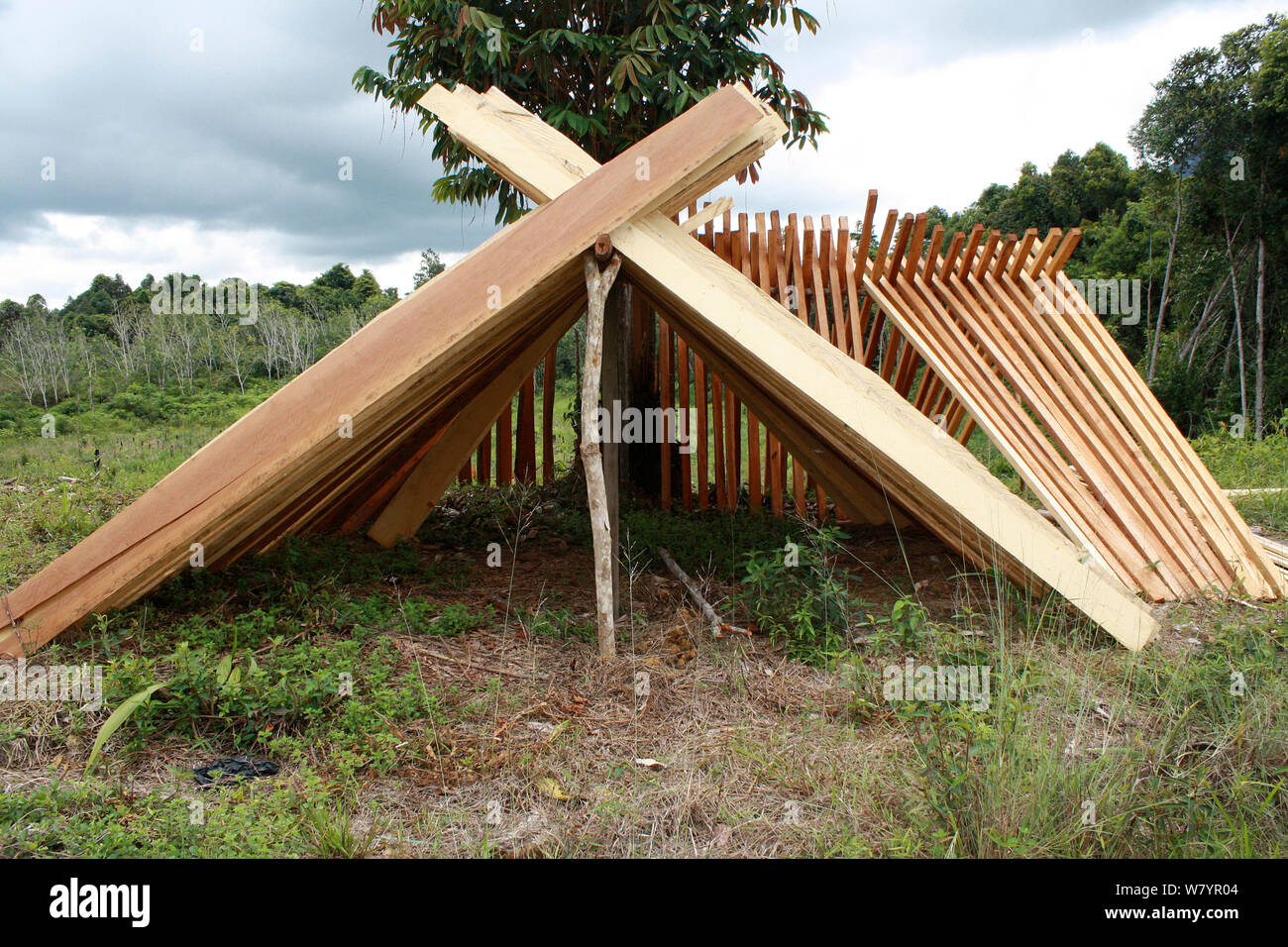 Timber for sale outside Singkawang, West Kalimantan, Indonesia Borneo ...