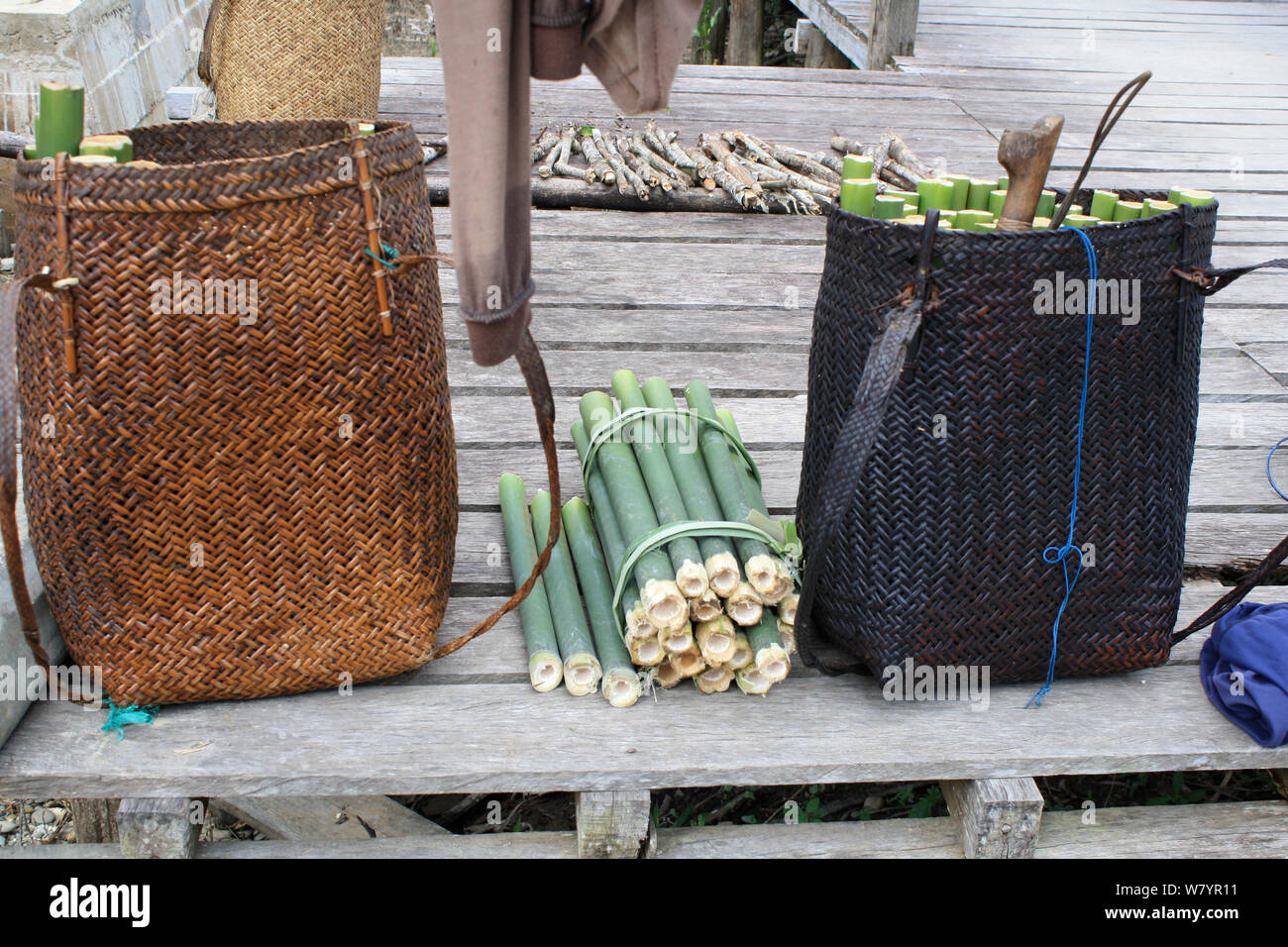 Bamboo in traditional Dayak woven baskets, Central Kalimantan ...