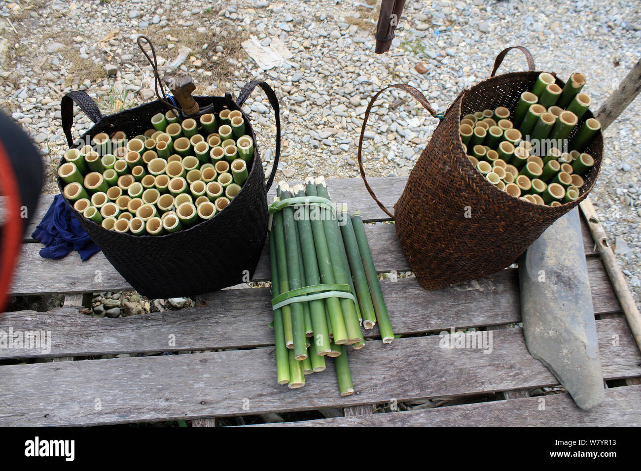 Bamboo in traditional Dayak woven baskets, Central Kalimantan ...