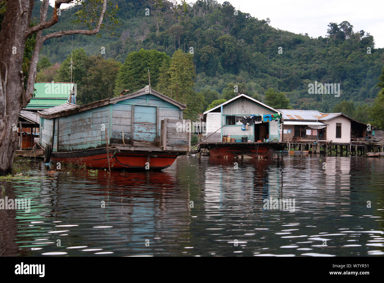 Floating Dayak longhouse outside of river, Gunung Palung National Park ...