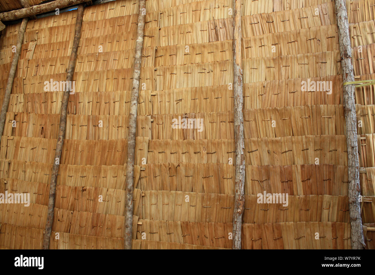 Wall of traditional Dayak longhouse, East Kalimantan, Borneo. June 2010 ...