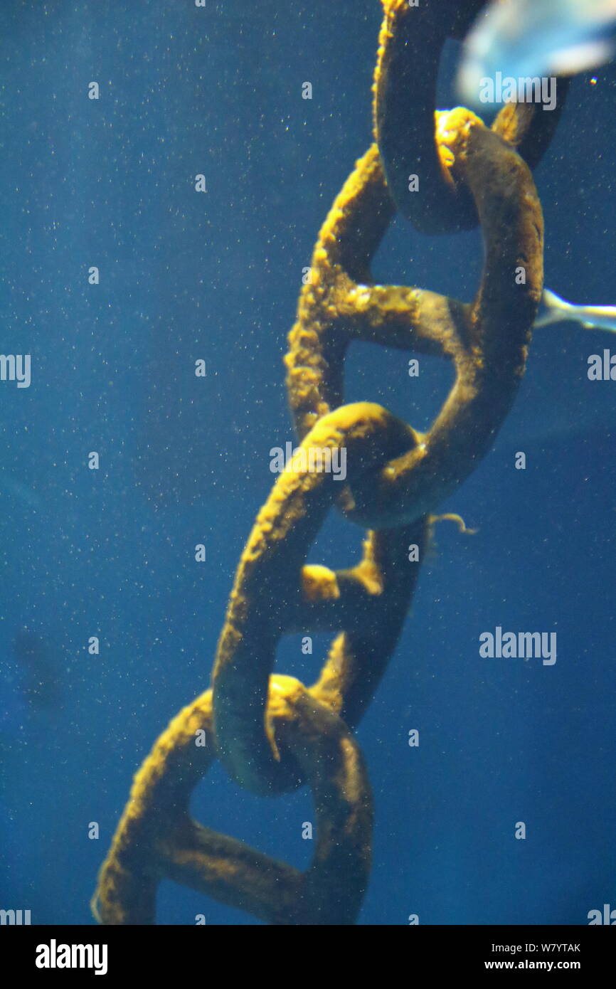 Anchor submarine hi-res stock photography and images - Alamy