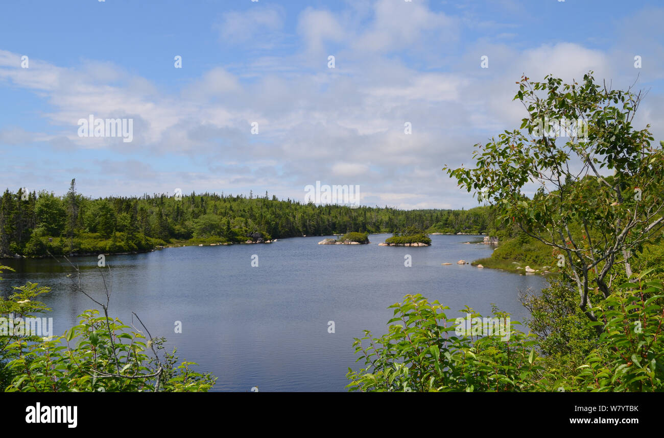 Lighthouse route, nova scotia hi-res stock photography and images - Alamy