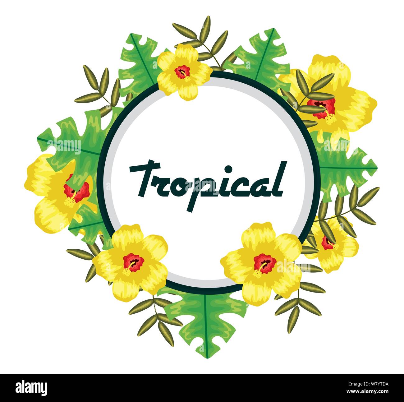circular frame with tropical flowers and leafs vector illustration ...