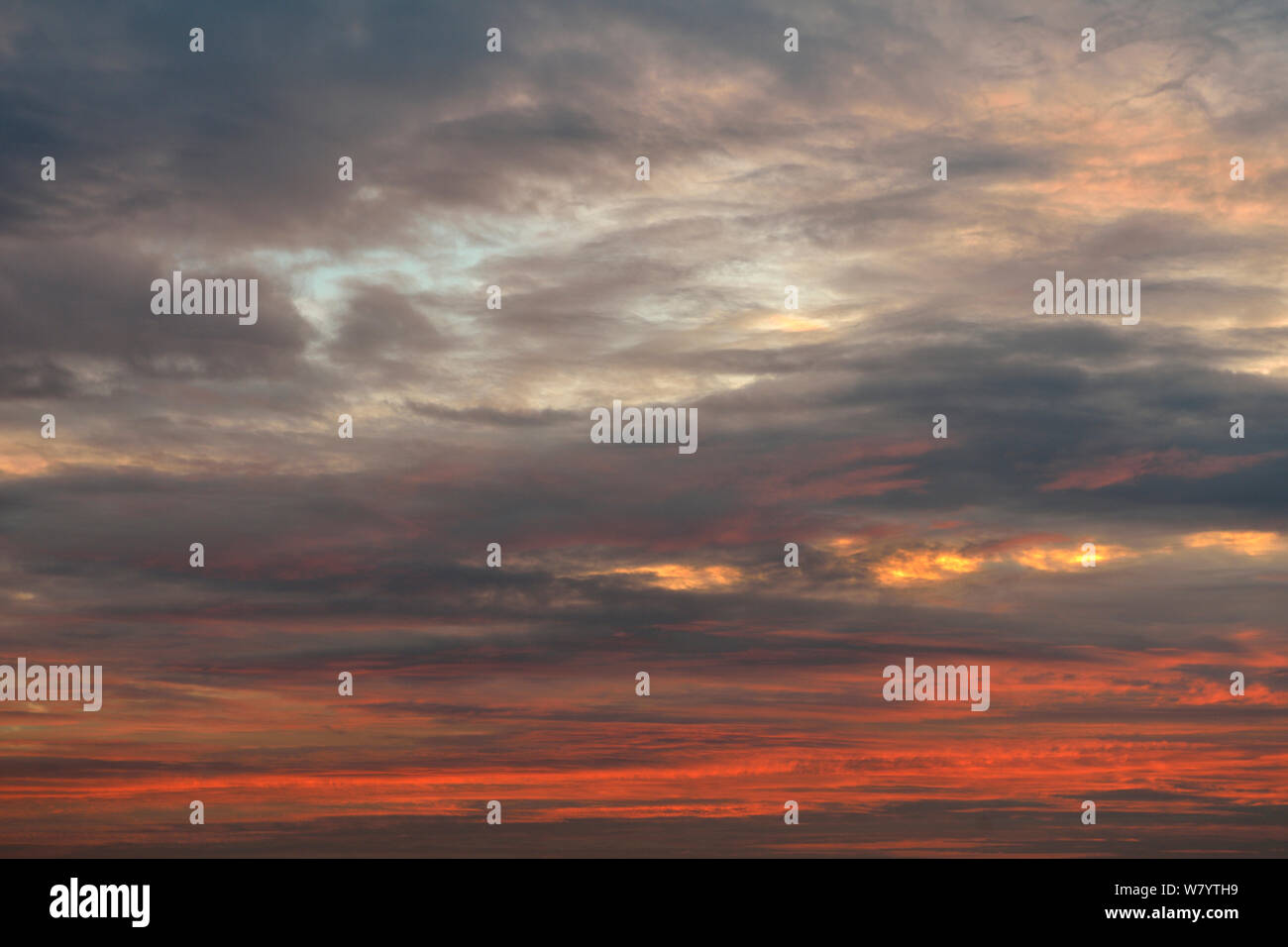 Clouds over Lac du Der, northern France, November Stock Photo - Alamy