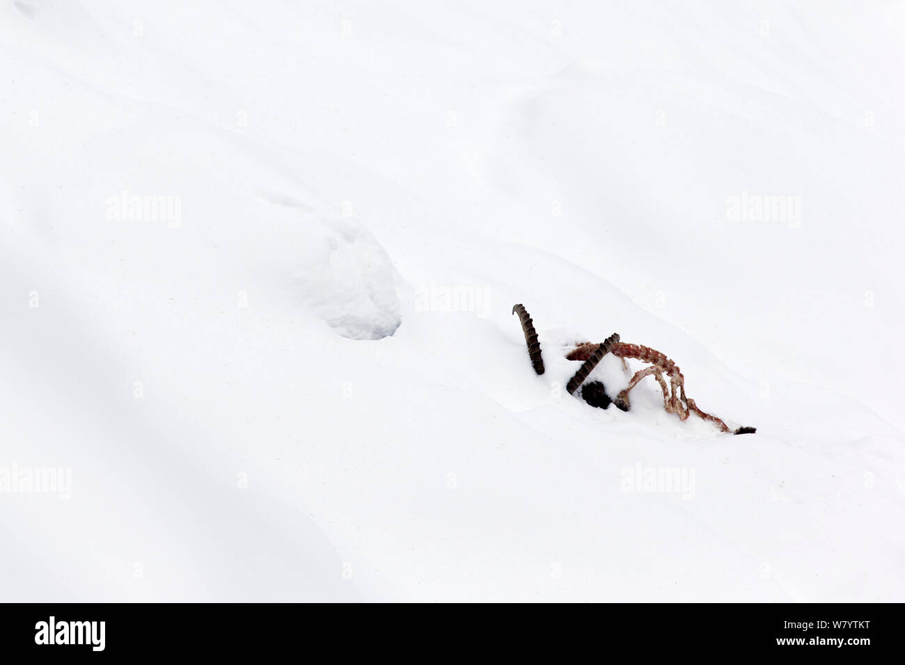 Skeleton In Snow Stock Photos & Skeleton In Snow Stock Images - Alamy
