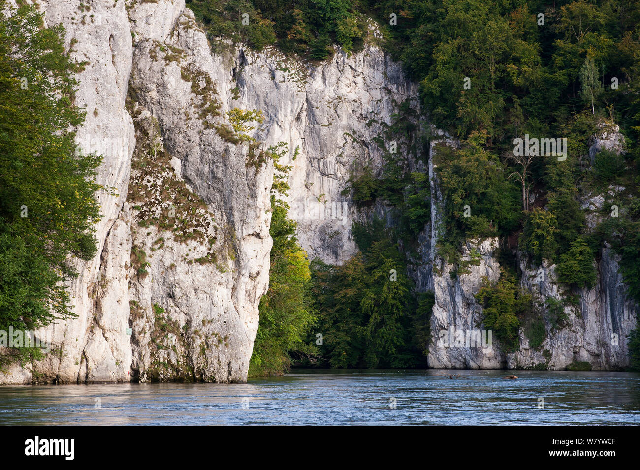 Limestone walls of Danube Canyon, near Weltenburg, Kelheim, Bavaria ...