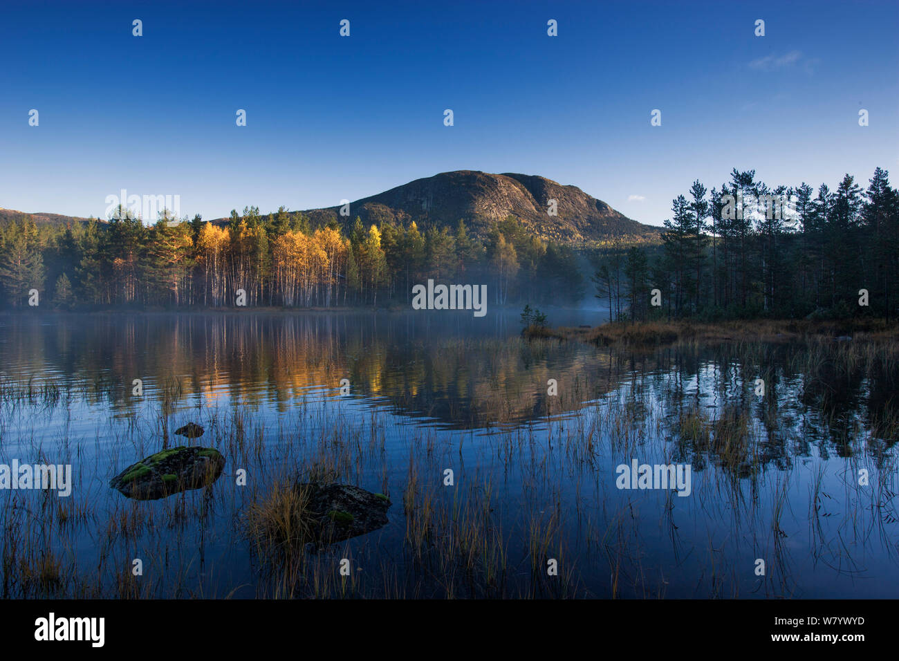 Hallingdal Norway High Resolution Stock Photography and Images - Alamy